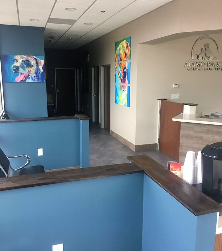 Clinic Tour - Alamo Ranch Animal Hospital, San Antonio, TX